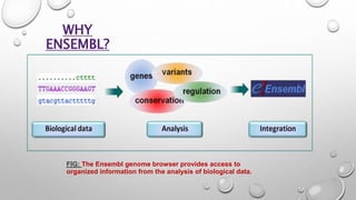 Role of ensembl in genome browsing | PPT