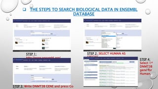 Role of ensembl in genome browsing | PPT