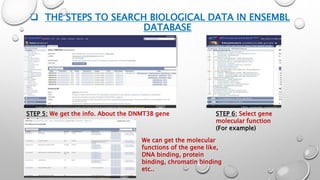 Role of ensembl in genome browsing | PPT