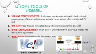 Role of ensembl in genome browsing | PPT