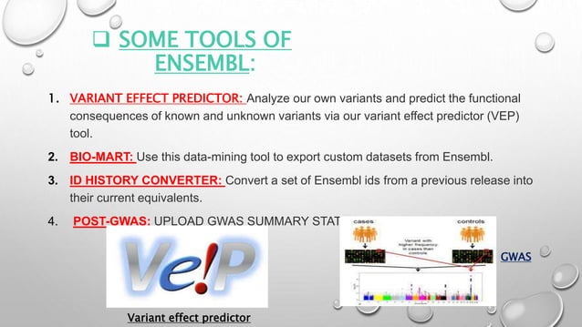 Role of ensembl in genome browsing | PPT
