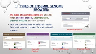 Role of ensembl in genome browsing | PPT
