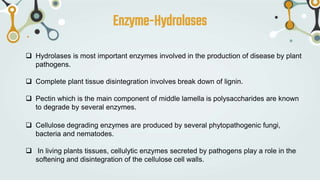 Role of enzyme in plant disease | PPTX