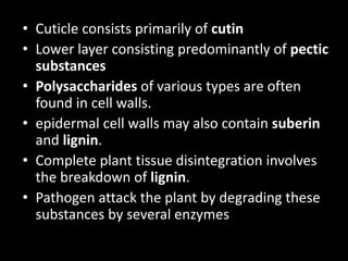 Role of enzymes in pathogen attack | PPTX