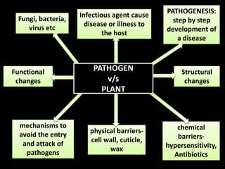Role of enzymes in pathogen attack | PPTX