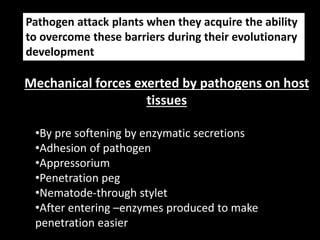 Role of enzymes in pathogen attack | PPTX
