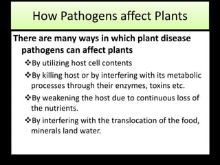 Role of enzymes in pathogen attack | PPTX