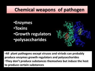 Role of enzymes in pathogen attack | PPTX