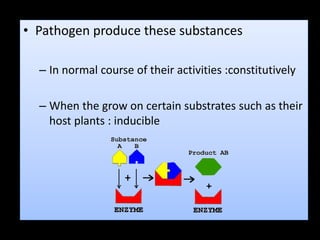 Role of enzymes in pathogen attack | PPTX