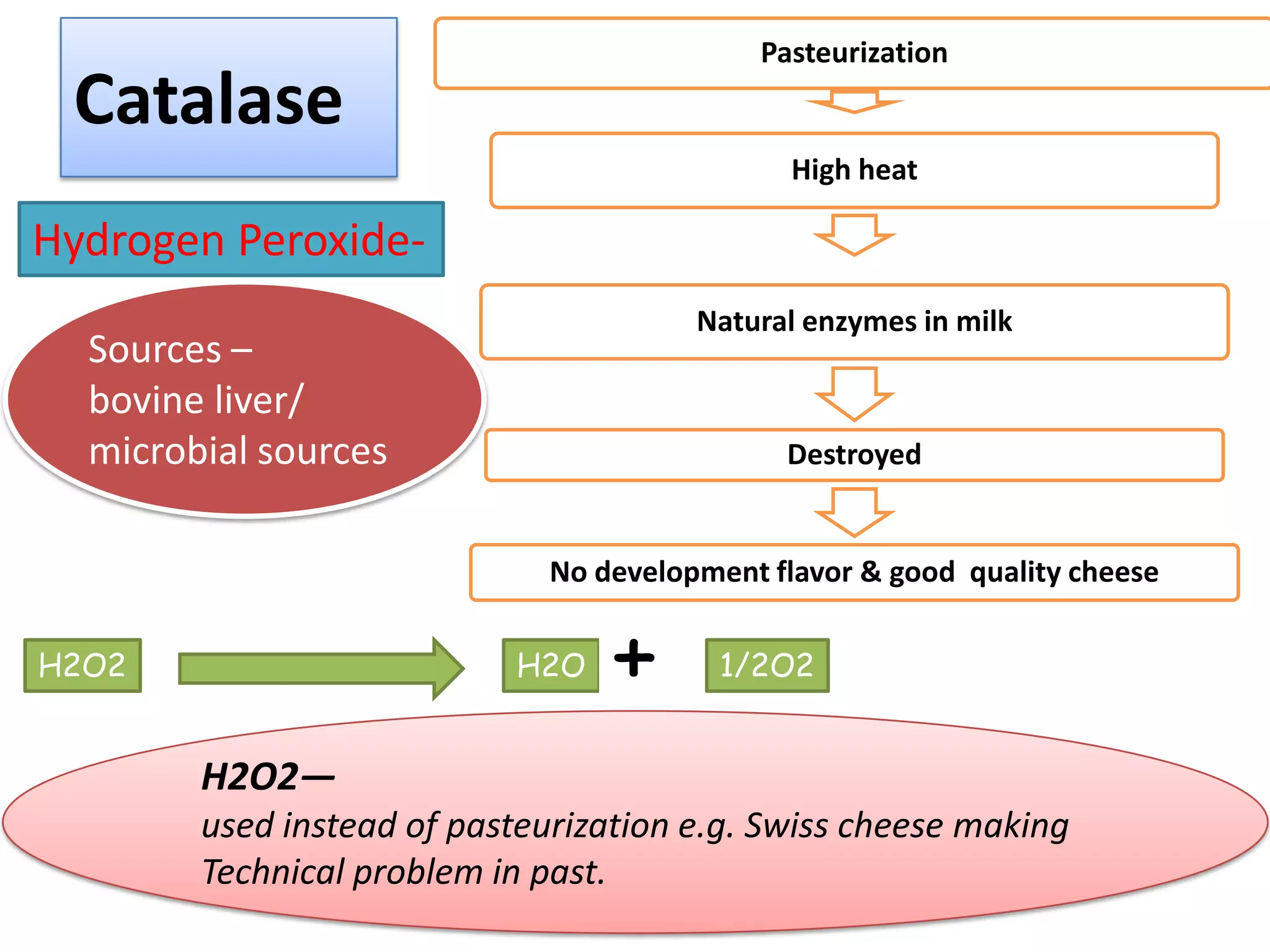 Role of enzymes in dairy industries | PPTX