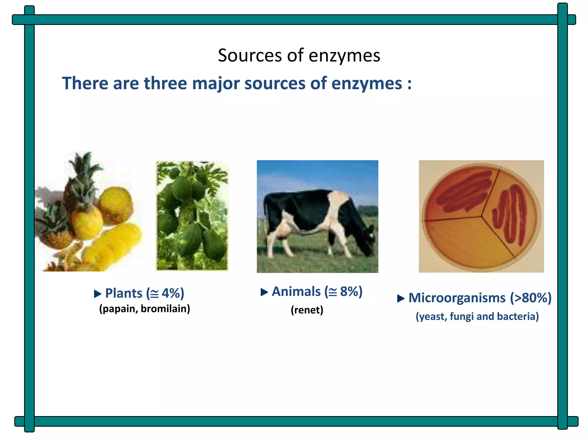 Role of enzymes in dairy industries | PPTX