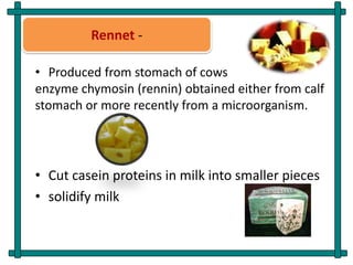 Role of enzymes in dairy industries | PPTX