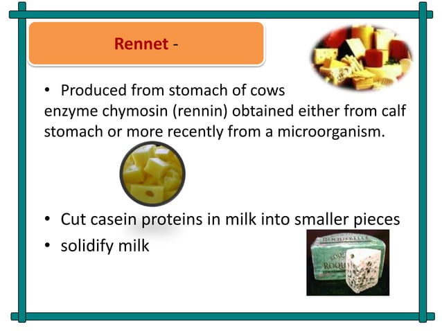 Role of enzymes in dairy industries | PPTX | Chemistry | Science
