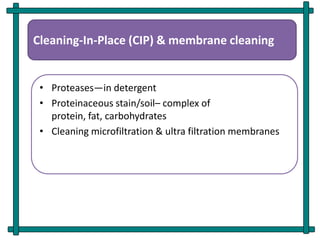 Role of enzymes in dairy industries | PPTX