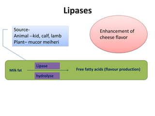 Role of enzymes in dairy industries | PPTX
