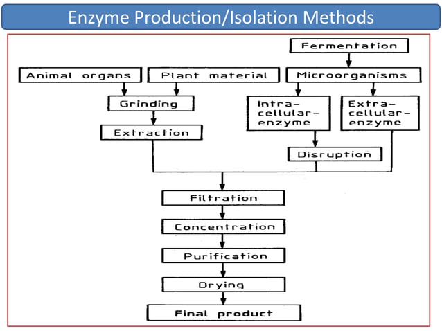 Role of enzymes in dairy industries | PPTX | Chemistry | Science