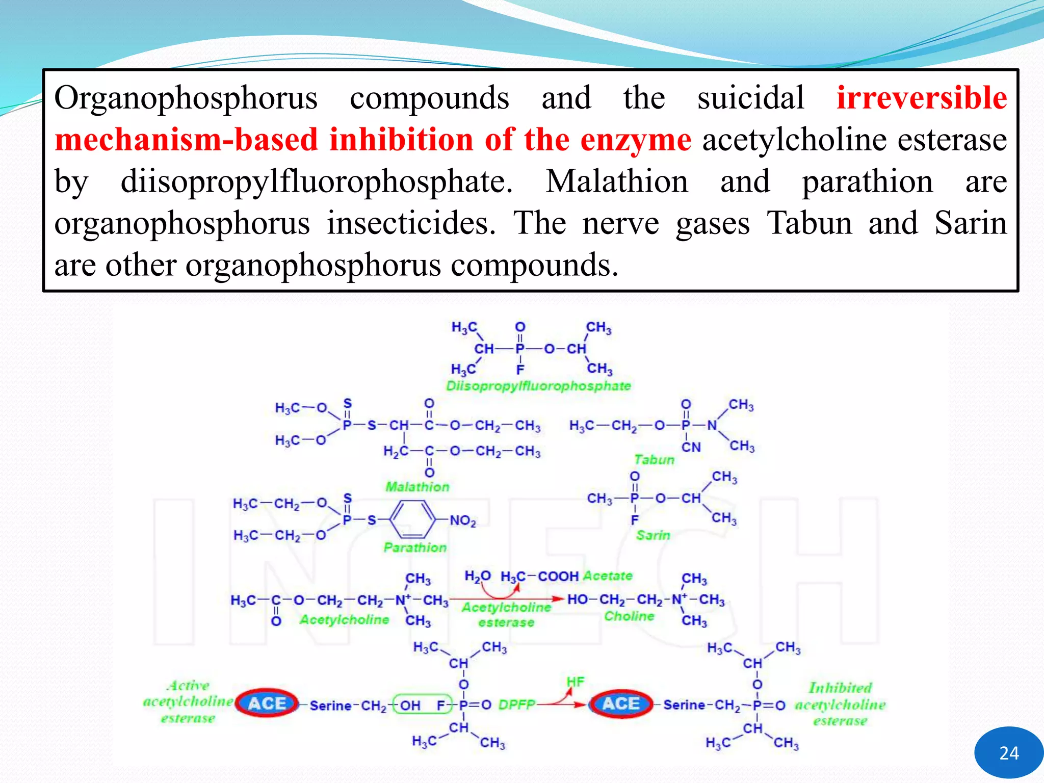 Role of enzymes in drug discovery | PPTX