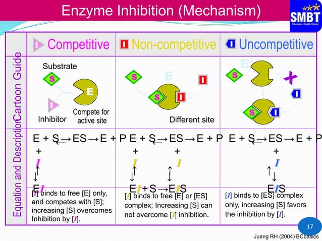 Role of enzymes in drug discovery | PPTX | Endocrine and Metabolic ...