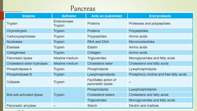 Role of Enzymes in GIT.pptx | Digestive Disorders | Diseases and Conditions