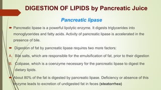 Role of Enzymes in GIT.pptx