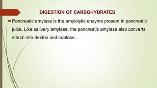 Role of Enzymes in GIT.pptx