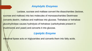 Role of Enzymes in GIT.pptx