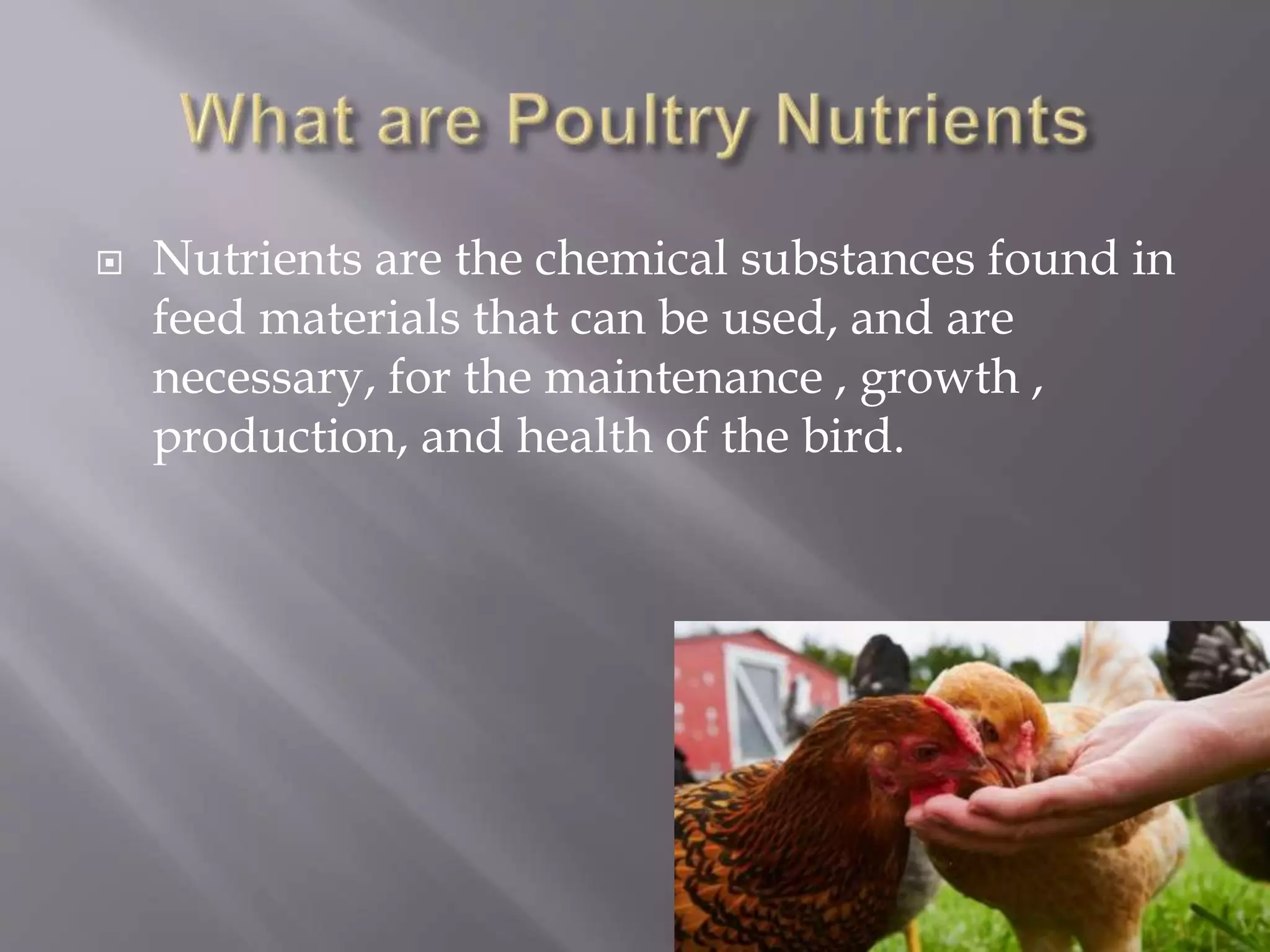 Role of enzymes in poultry nutrition | PPTX