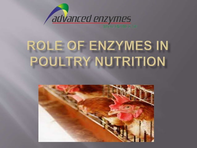 Role of enzymes in poultry nutrition | PPT