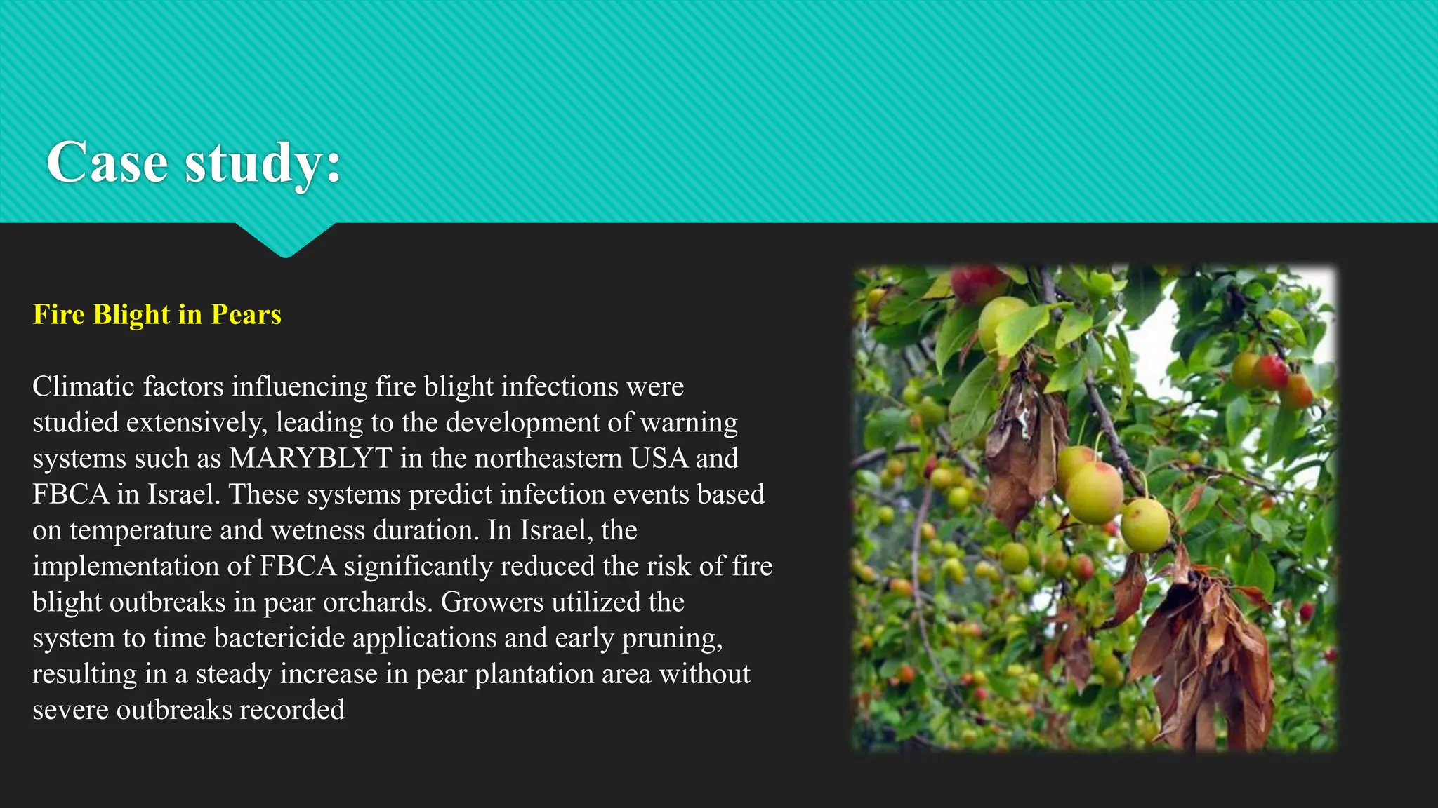 Role of epidemiology in plant disease management^L.pptx