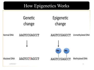 Role of Epigenetics in Heterosis | PPTX