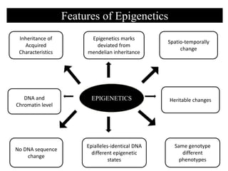 Role of Epigenetics in Heterosis | PPTX