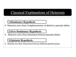 Role of Epigenetics in Heterosis | PPTX