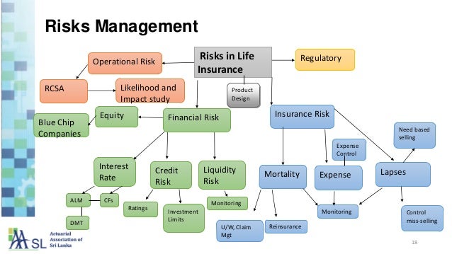 Role of Enterprise Risk Management in Risk Based Capital