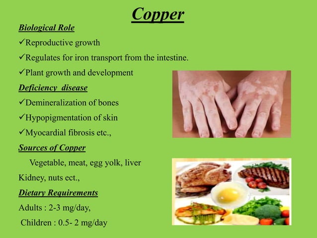 Role of Essential Metals in our Biological Process | PPTX | Blood ...