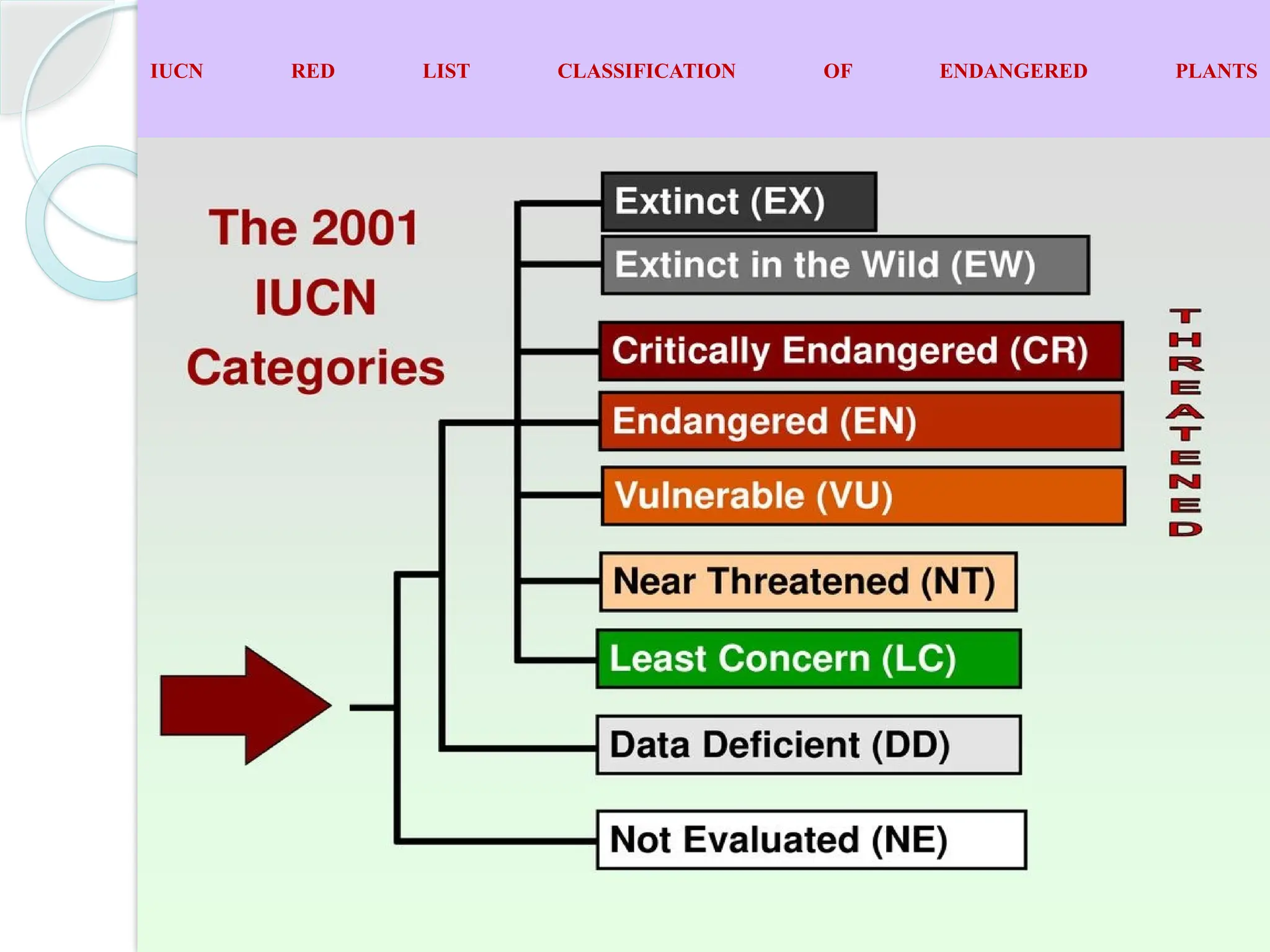 Role of Ethnobotany in conservation of endangered speceis of plant.pptx