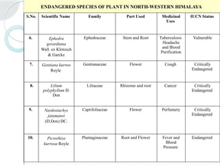 Role of Ethnobotany in conservation of endangered speceis of plant.pptx
