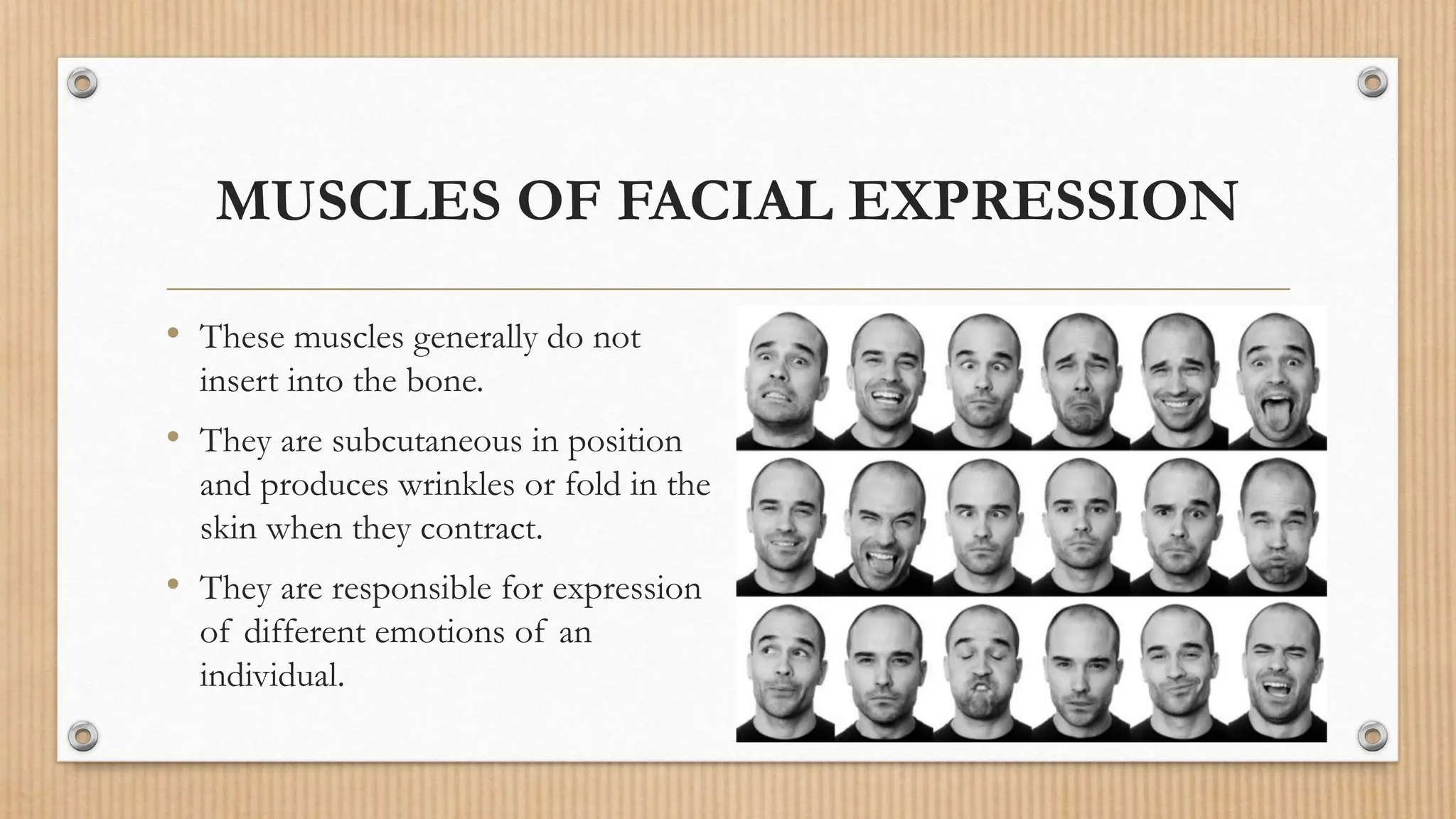 ROLE OF FACIAL MUSCLES IN COMPLETE DENTURE.pptx