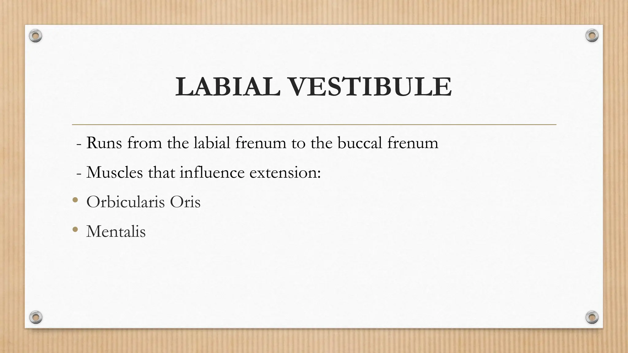 ROLE OF FACIAL MUSCLES IN COMPLETE DENTURE.pptx
