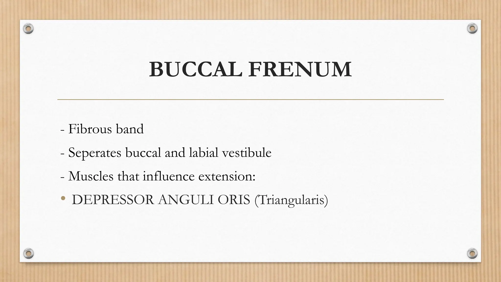 ROLE OF FACIAL MUSCLES IN COMPLETE DENTURE.pptx