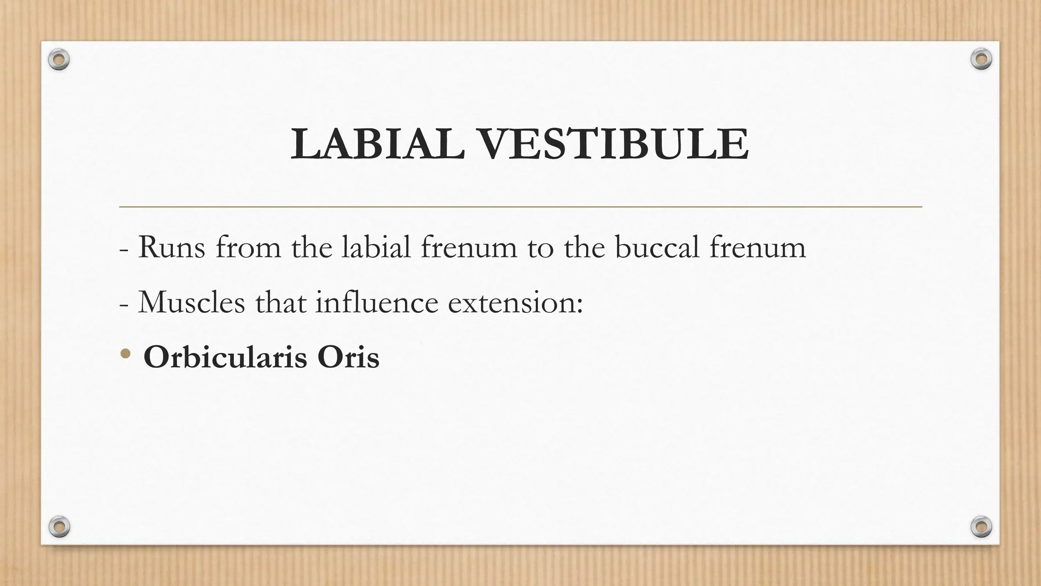 ROLE OF FACIAL MUSCLES IN COMPLETE DENTURE.pptx