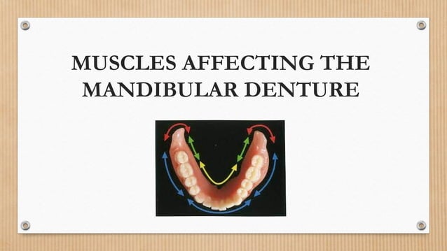 ROLE OF FACIAL MUSCLES IN COMPLETE DENTURE.pptx
