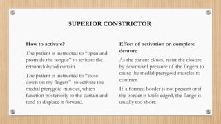 ROLE OF FACIAL MUSCLES IN COMPLETE DENTURE.pptx