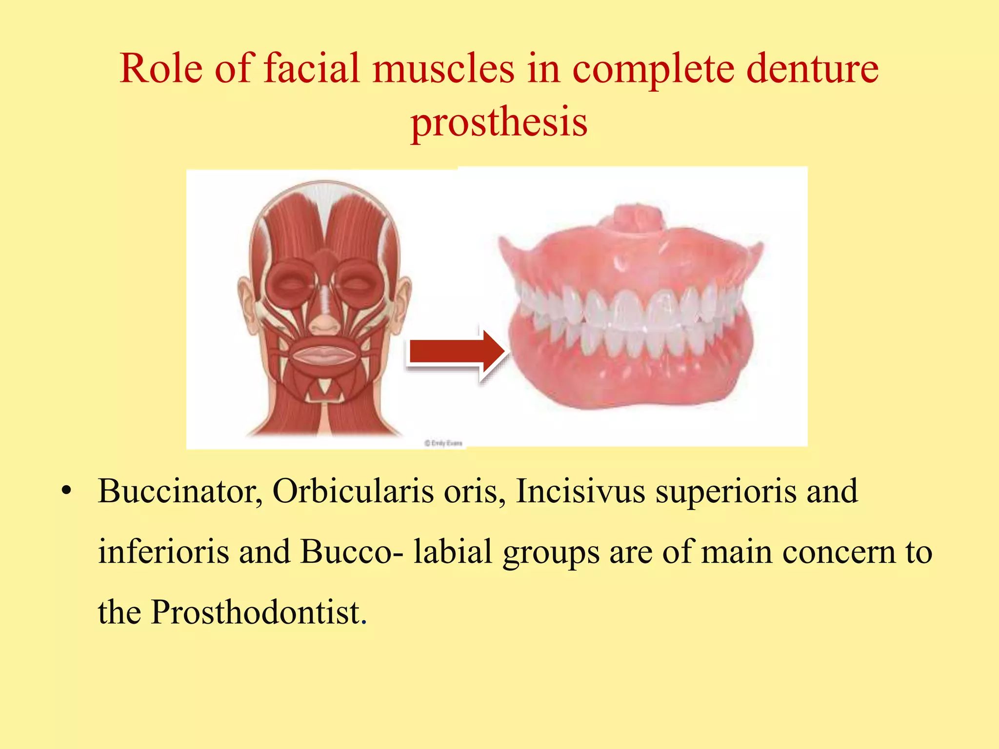 Role of facial muscles in complete denture prosthesis | PPTX | Dental ...