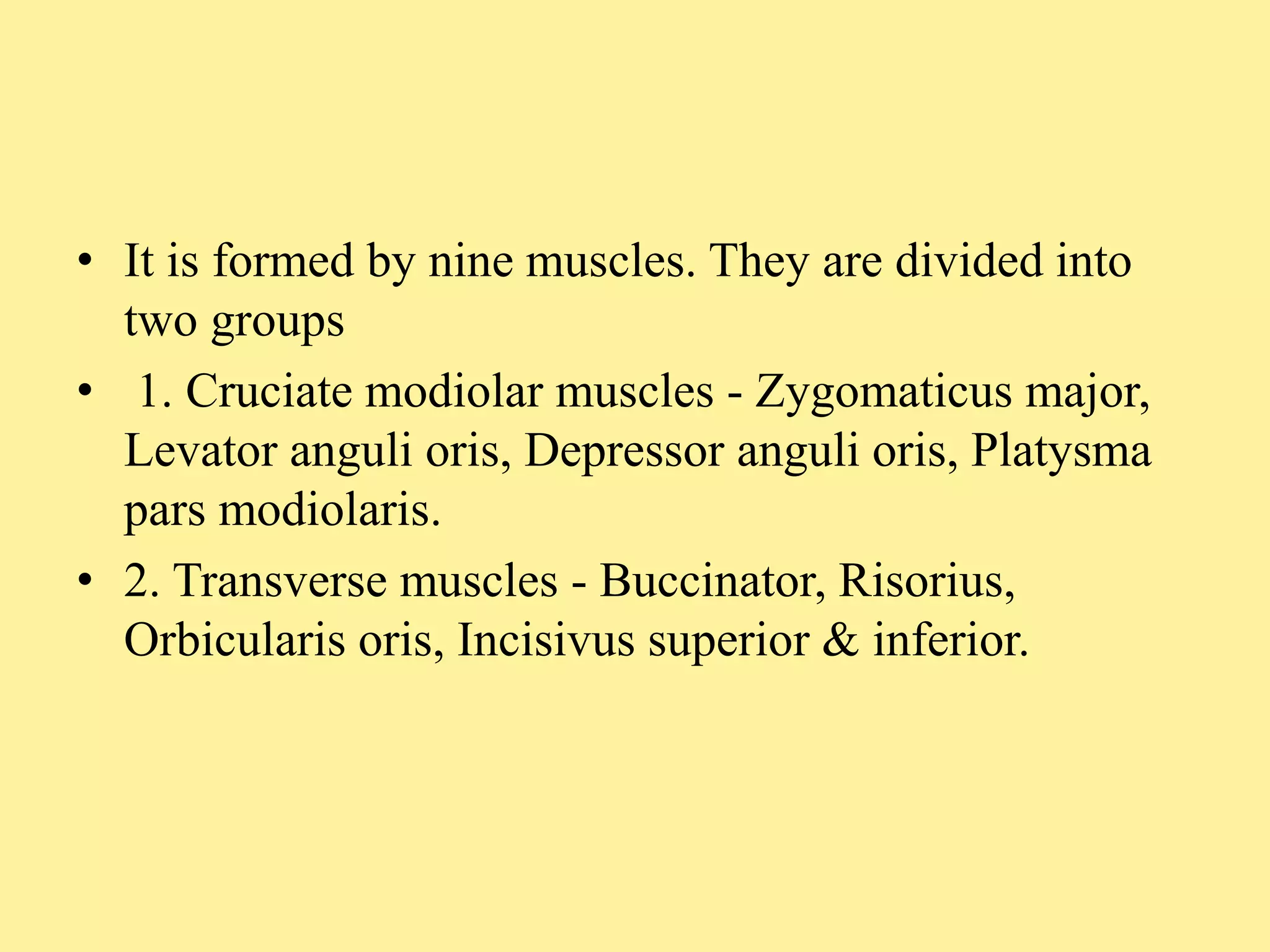 Role of facial muscles in complete denture prosthesis | PPTX