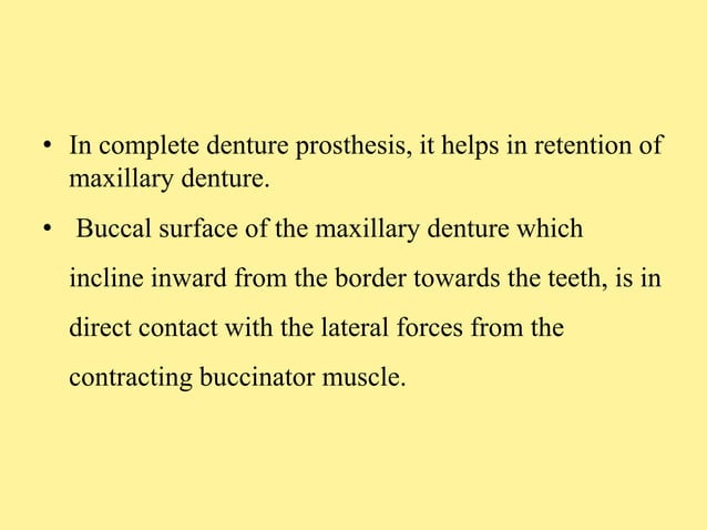 Role of facial muscles in complete denture prosthesis | PPTX | Dental ...