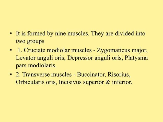 Role of facial muscles in complete denture prosthesis | PPTX | Dental ...