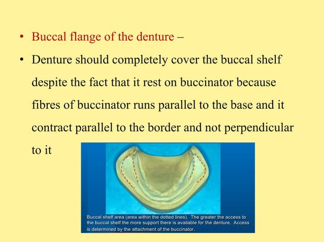 Role of facial muscles in complete denture prosthesis | PPTX | Dental ...
