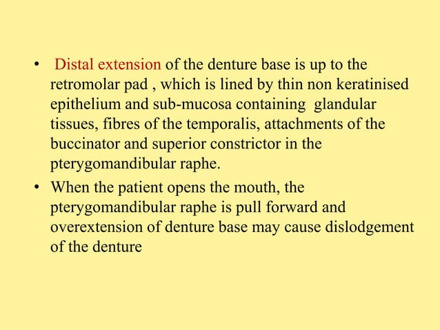 Role of facial muscles in complete denture prosthesis | PPTX | Dental ...