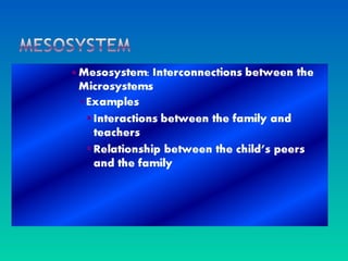 Role of family mine ecological model | PPT