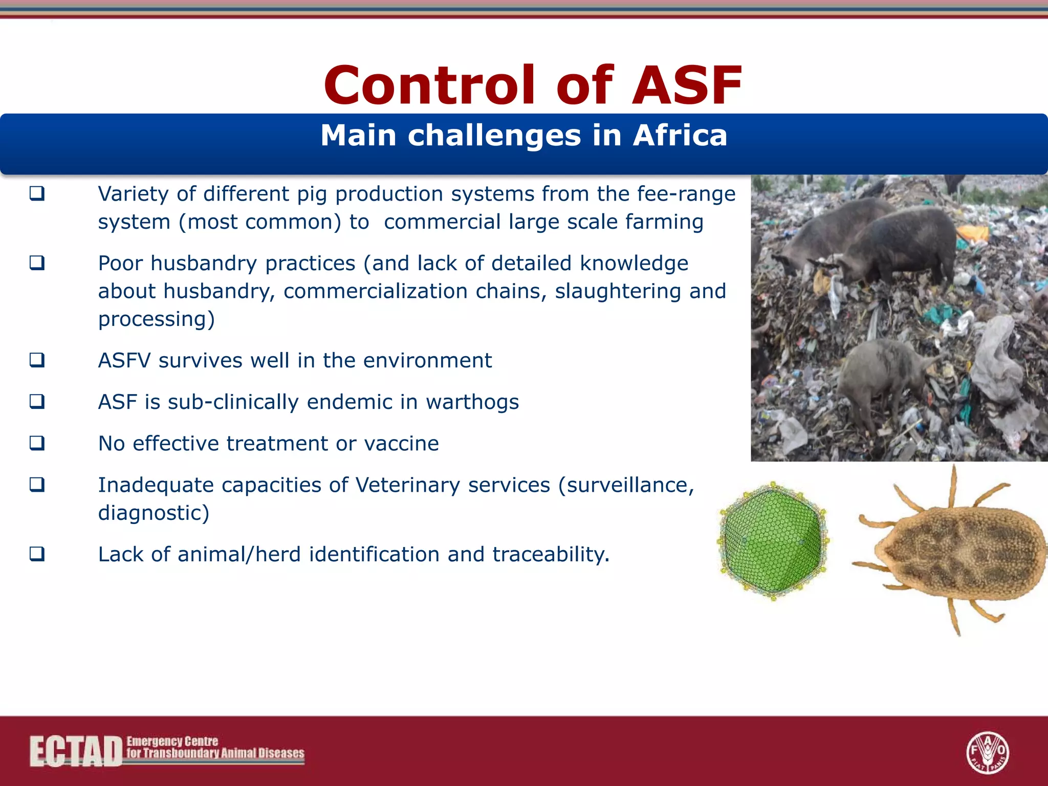 Role of FAO-ECTAD in transboundary disease surveillance and control ...